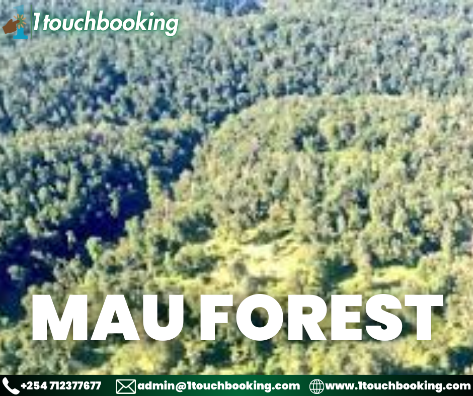 MAU FOREST - 1TouchBooking
